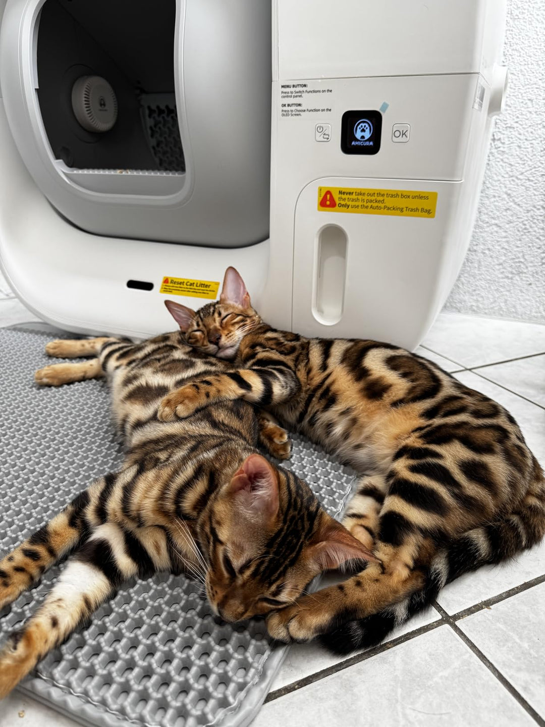 Amicura Cura X1 Self-Cleaning Smart Litter Box Now on Sale